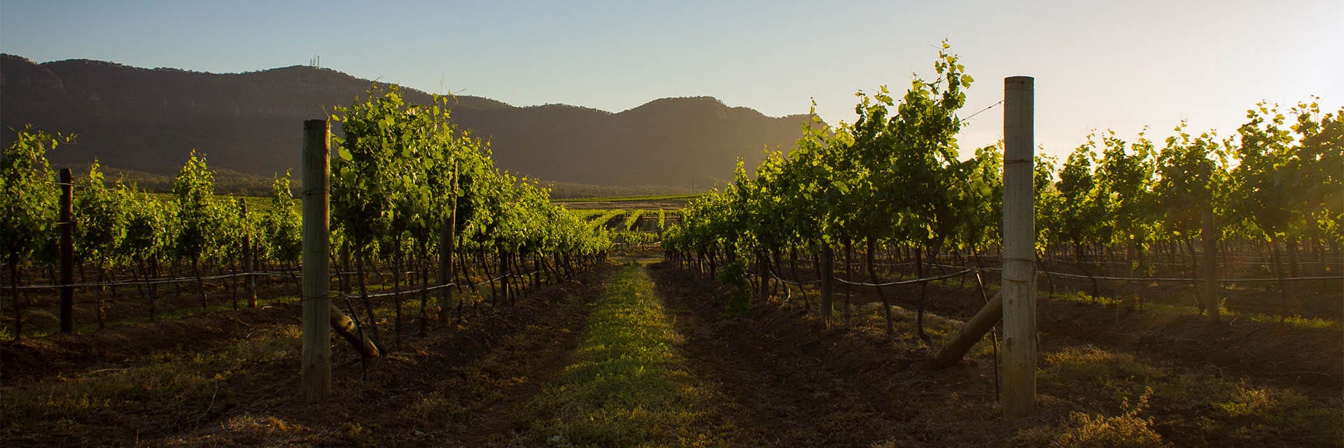 Frequently Asked Questions | Export Awards