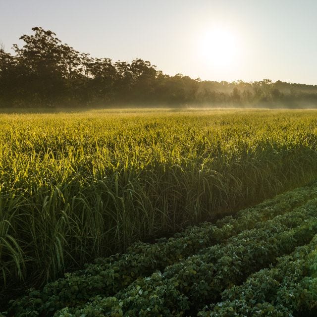 Finalists | Export Awards