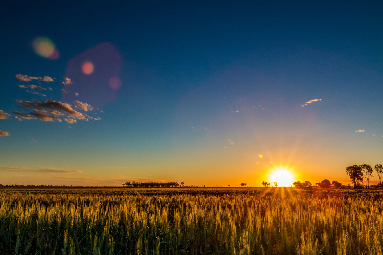 Finalists | Export Awards